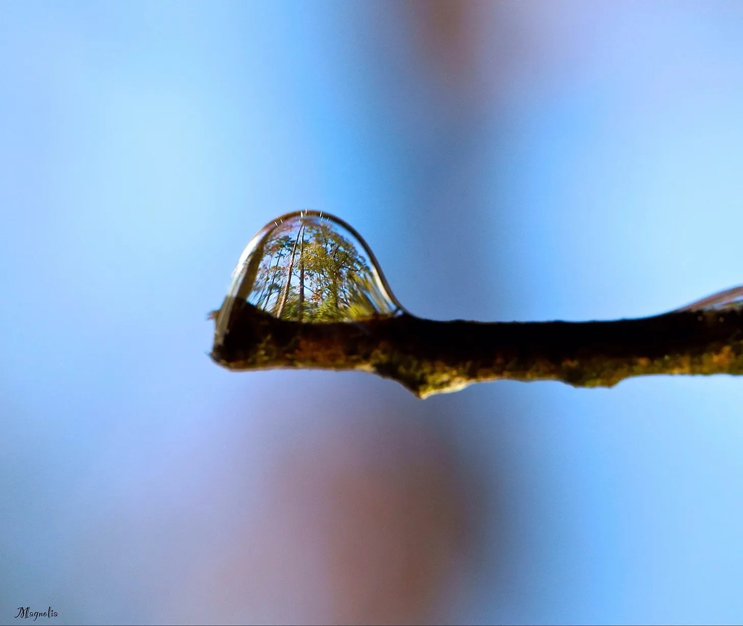Transduction – leading transformation – Issue #201 – chosen path